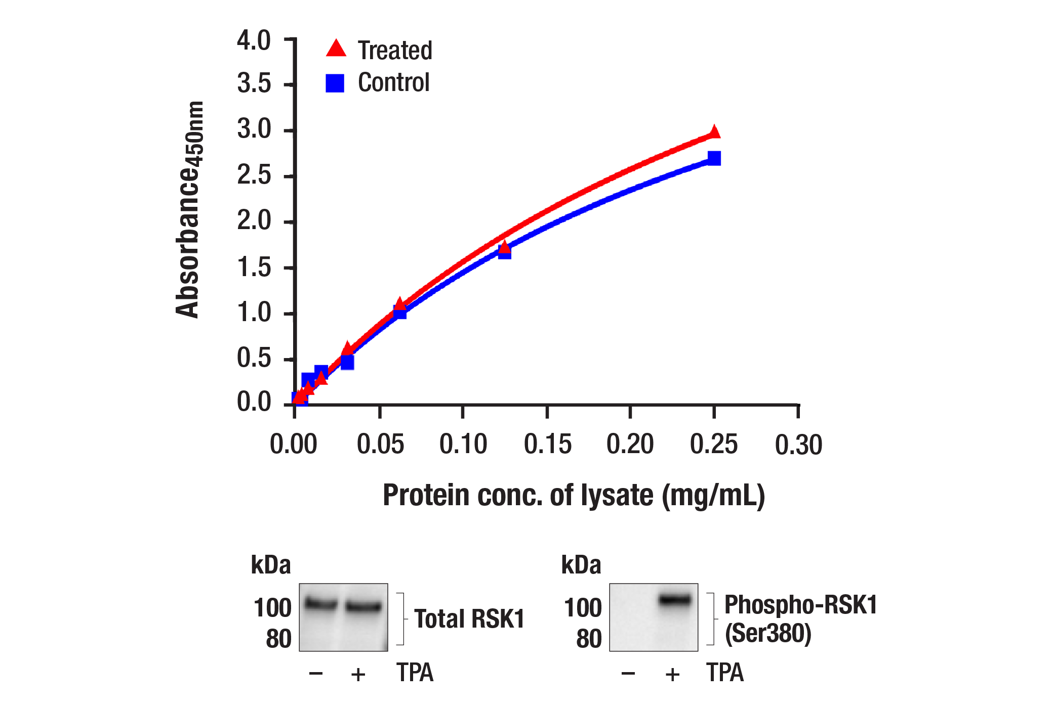 PathScan - RP Total RSK1 Sandwich ELISA Kit_CST_优宁维(univ)商城