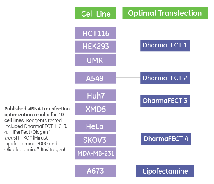 DharmaFECT 2 Transfection Reagent_Dharmacon_优宁维(univ)商城