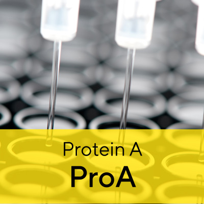 Octet- Protein A -ProA- Biosensors_SARTORIUS(赛多利斯)_优宁维(univ)商城