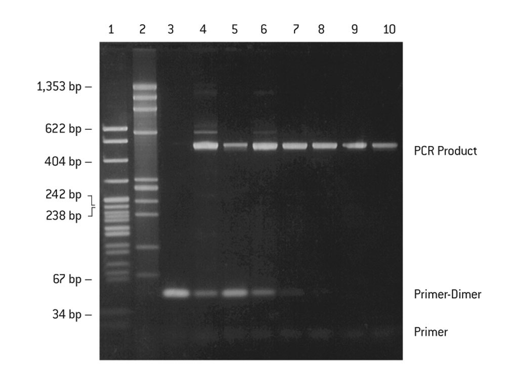 NuSieve 3-1 AGAROSE 125G_Lonza_优宁维(univ)商城