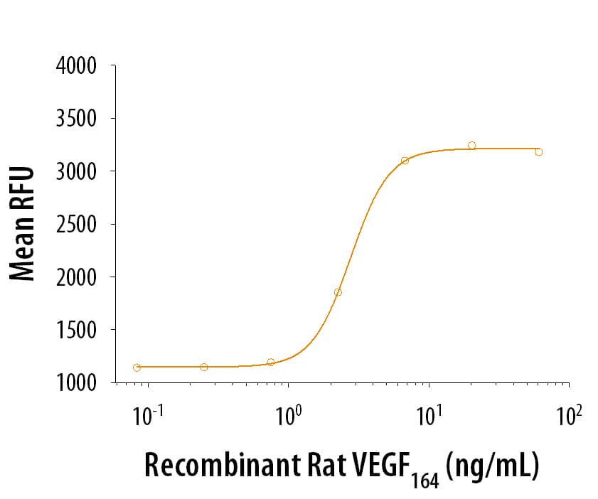 rrVEGF 164- CF -10 ug_R&D Systems_优宁维(univ)商城