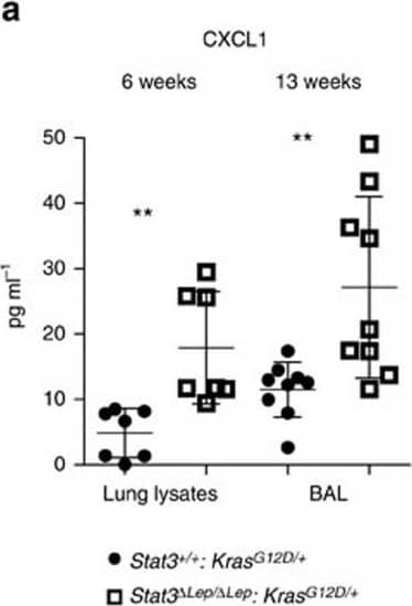 Mouse CXCL1-KC Quantikine ELISA Kit_R&D Systems_优宁维(univ)商城