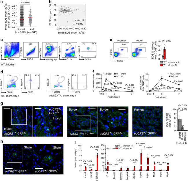 MO CD170 1RNM44N PE-CYN7 MAB_Thermo流式_优宁维(univ)商城