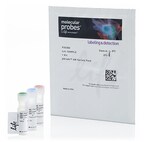 PHRODO AM VARIETY PACK_Thermo_优宁维(univ)商城